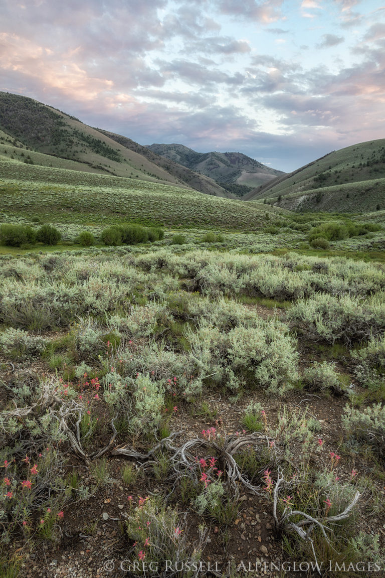 Alpenglow Images Alpenglow Images | Landscape & Nature Photography by ...